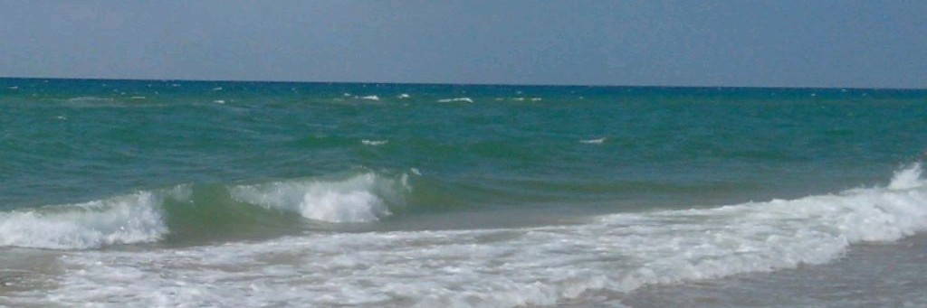 Анатолий Старых