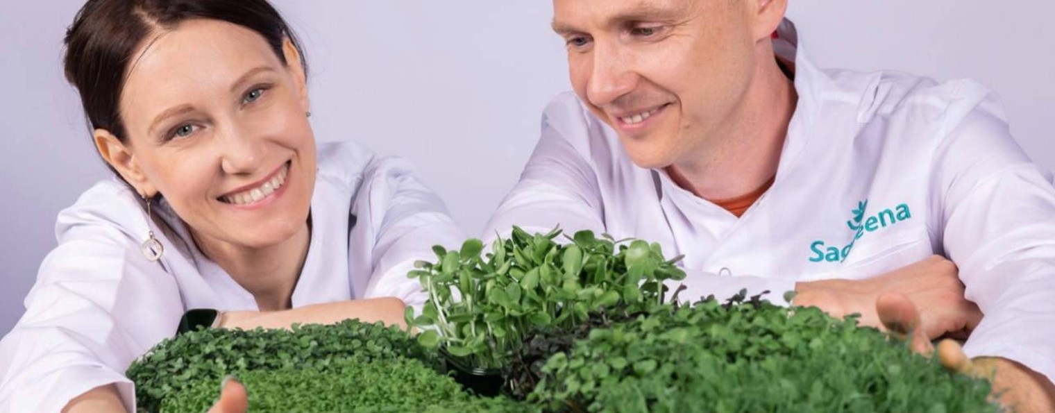 Микрозелень биосоки Sagreena Астрахань