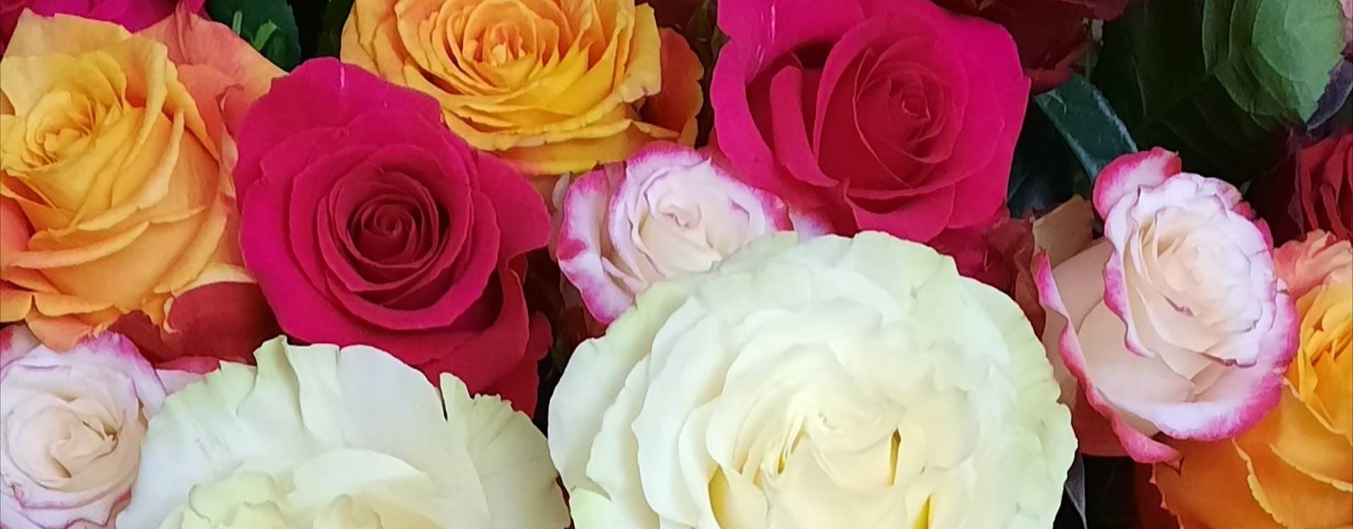 Нина Ипатова