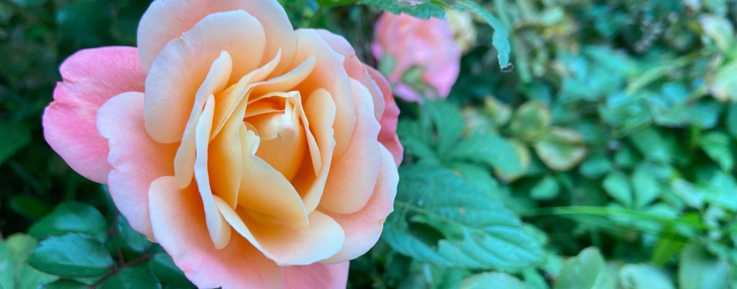 Психолог Екатерина Карпенко