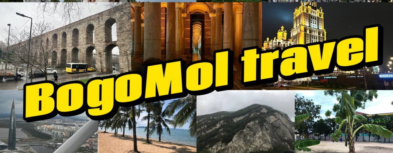 BogoMol travel