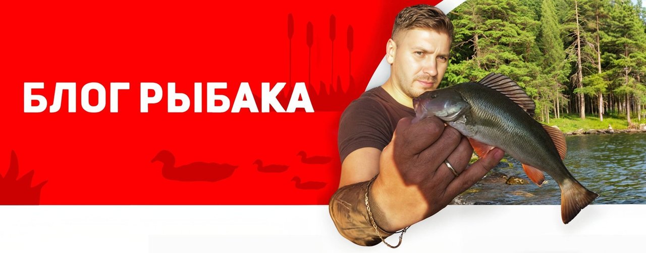 Блог Рыбака