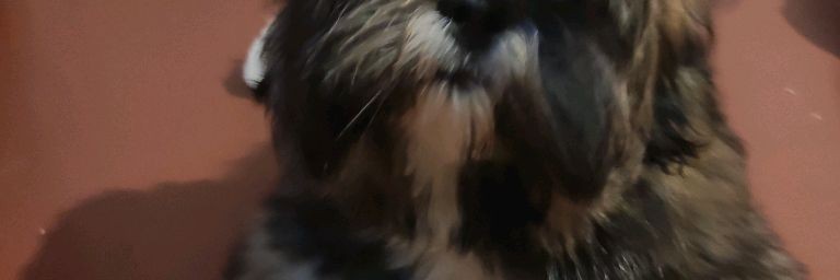 Юся Лайф♡♡♡