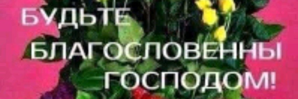 Спасибо Господи за всё !