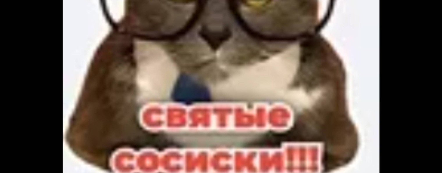 KOtYiNeT😺😼
