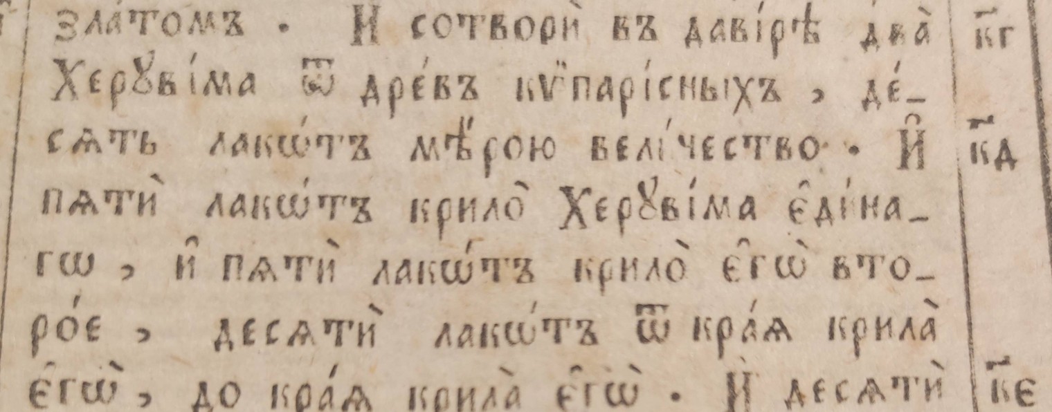Древоделя
