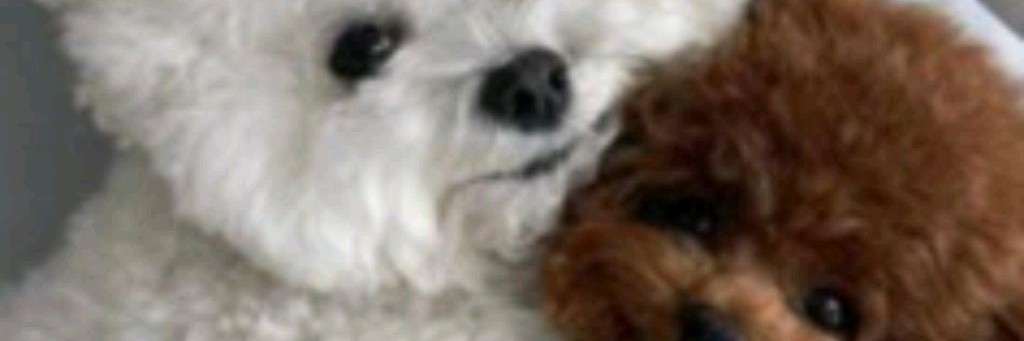 Всё Что Есть