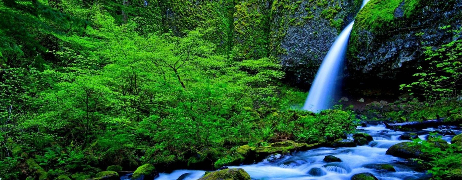 Вера Ковалькова