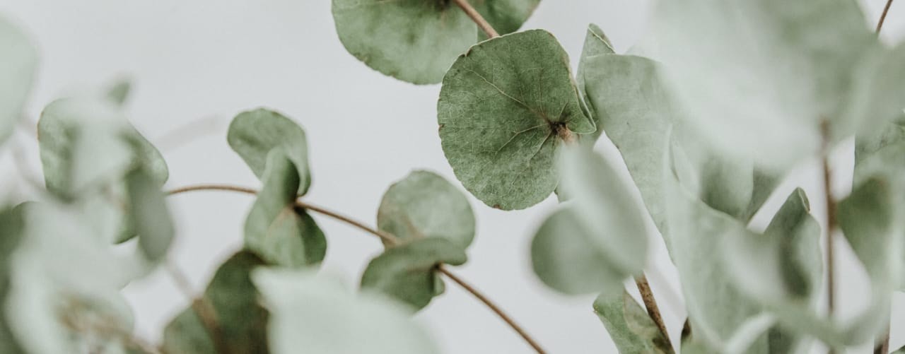 Педиатрия. Якутский медицинский колледж