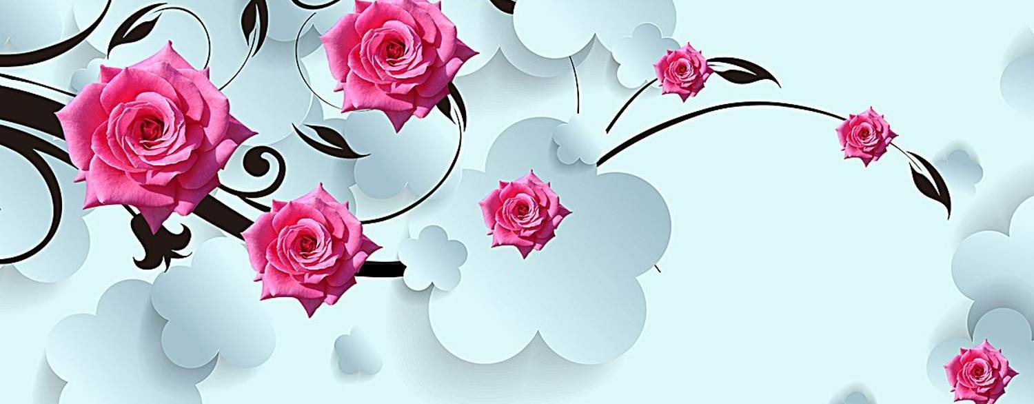 Ribakova и увлечение ProShow