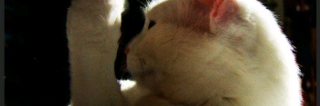 Орево с таксистом