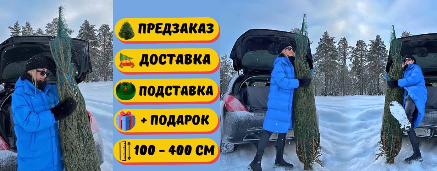 ЕЛЬ/СОСНА Москва, Стахановская 7 ст4