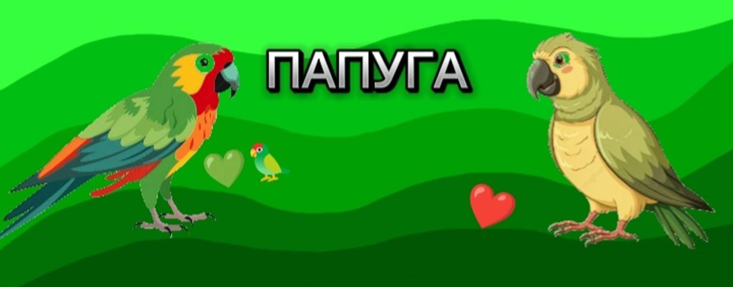 •ПАПУГА•🦜