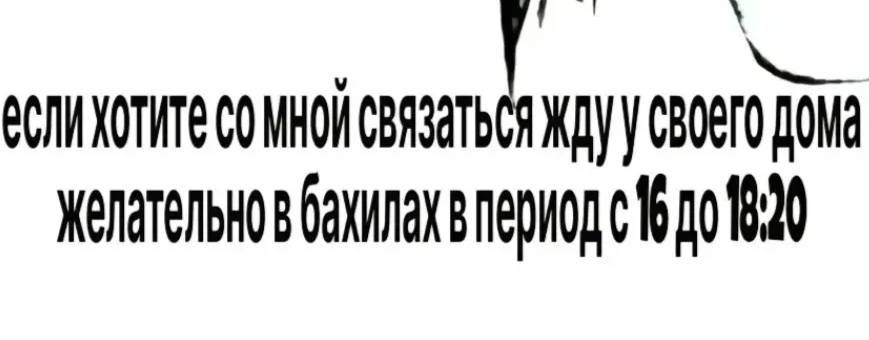 Mrlololoshka
