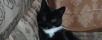 Самые лучшие рецепты.