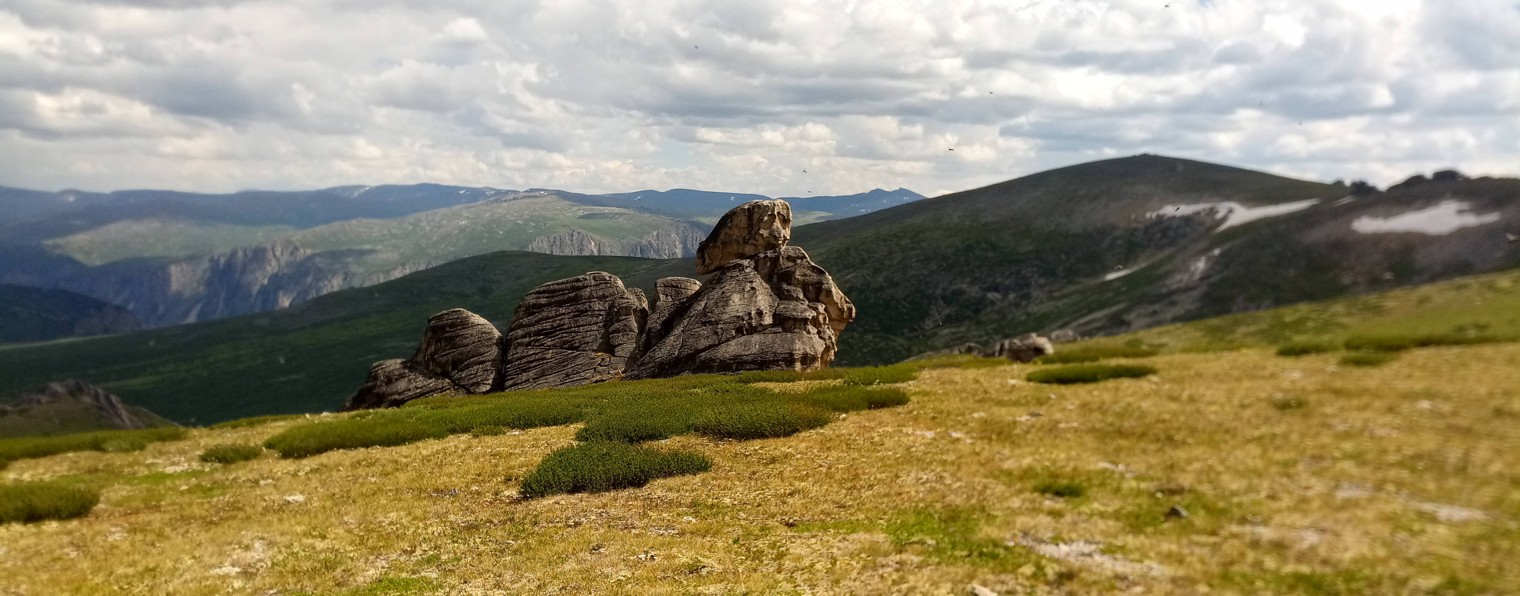хроники Дома Дракона