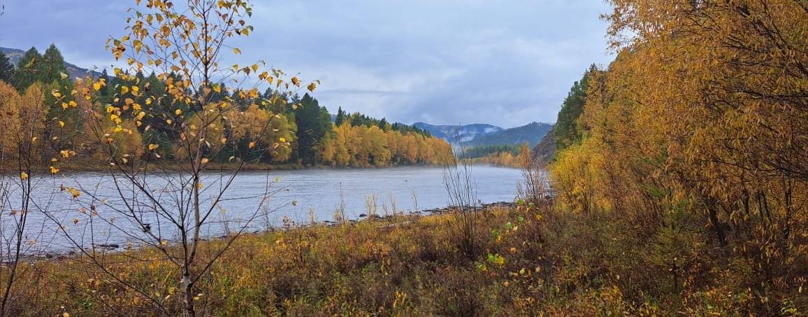 ХАРИУСЯТНИКИ  БУРЯТИИ