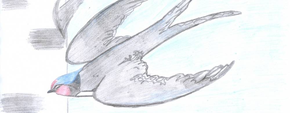 Лети, свети, люби