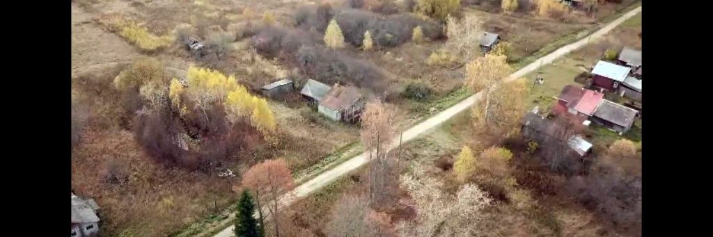 Сергей и Шарик