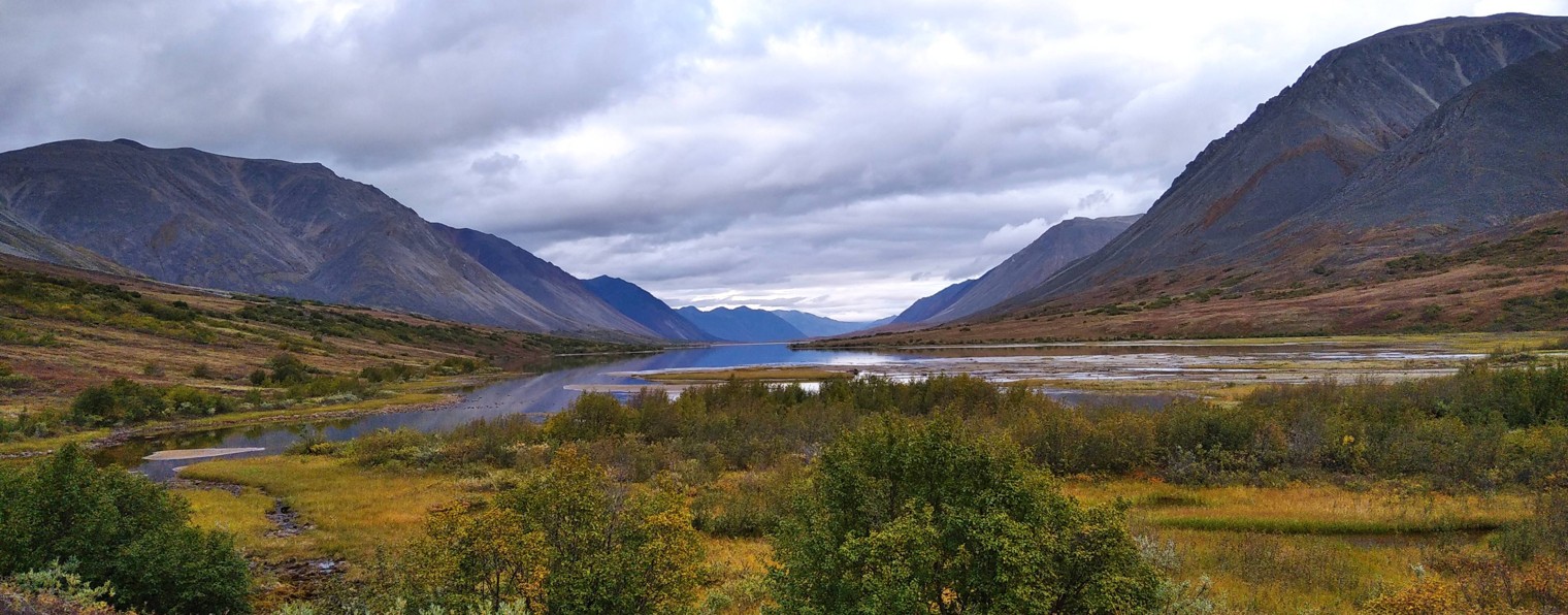 Студия Лесопилка