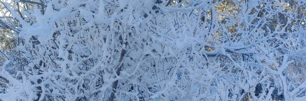 Готовим с любовью