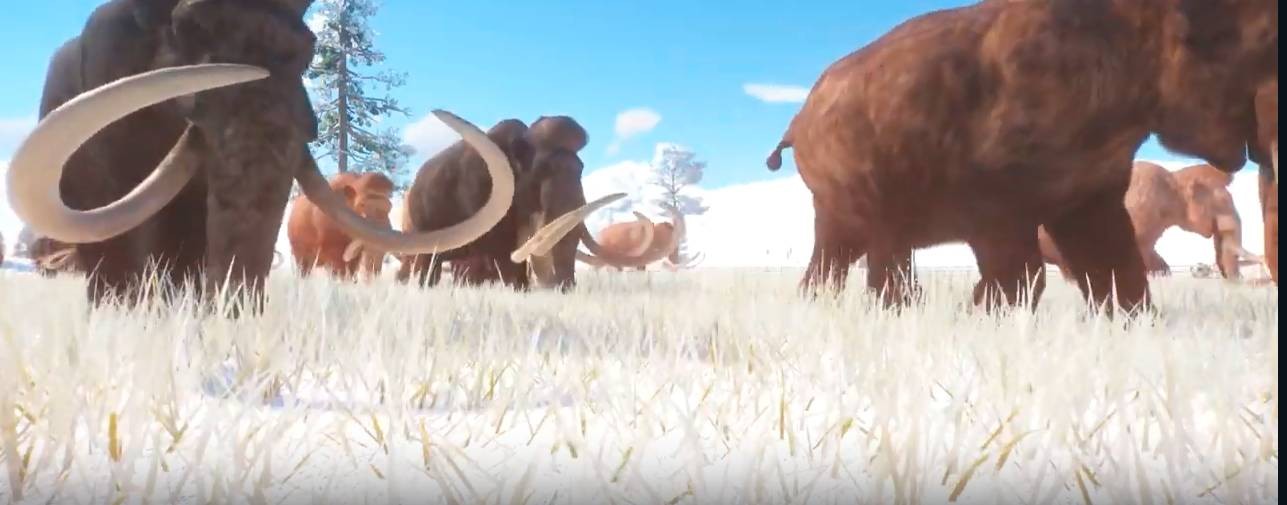 Геймеры и легенды