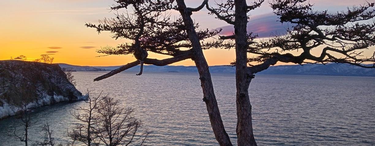 Жизнь и будущее