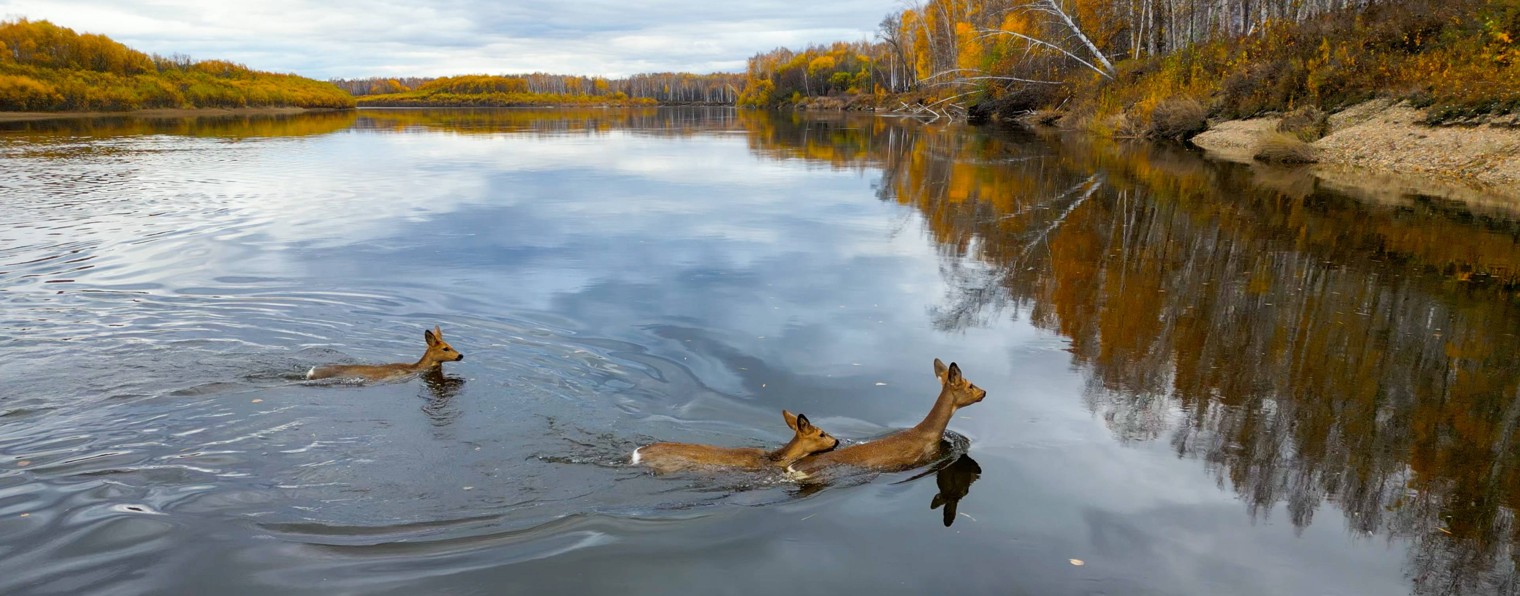 Государственный природный заповедник "Норский"