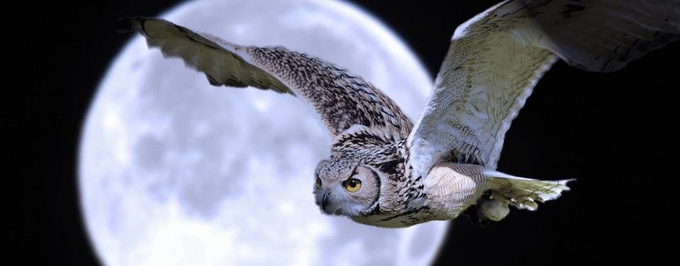 Врач рекомендует  СОВО-СОВА.