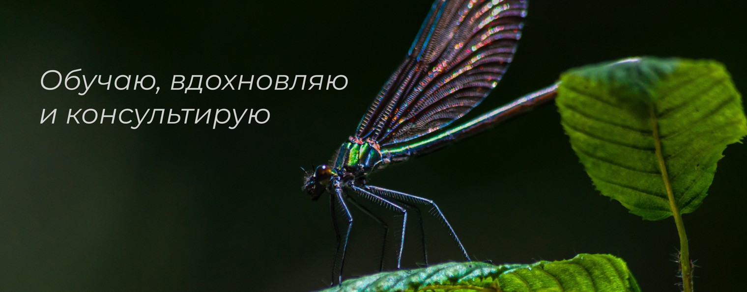 ГЕОЭКОШКОЛА