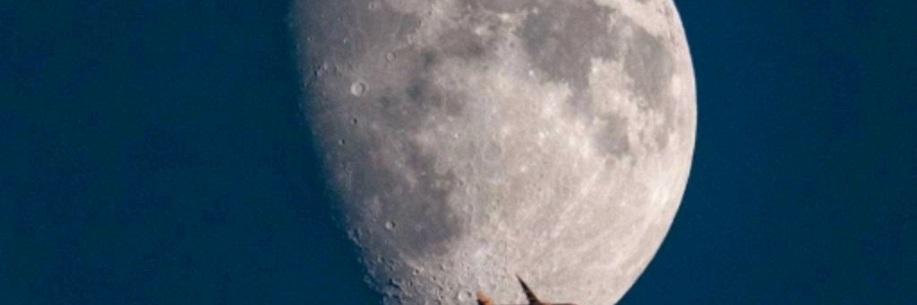 𝑷𝒓𝒐𝒌𝒖𝒓𝒂𝒕𝒖𝒓𝒂 | 𝑬𝒅𝒊𝒕𝒔⚜️