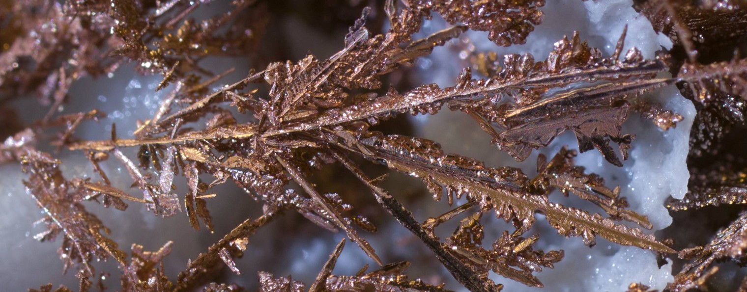 Лаборатория реального мира