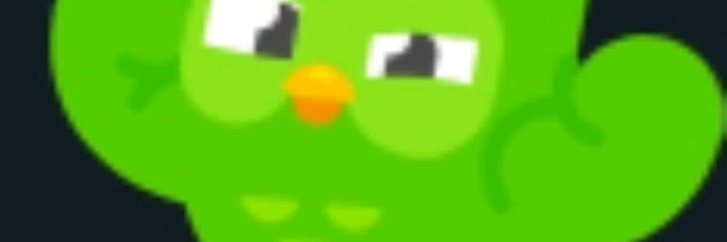 Попугай и шпион😁