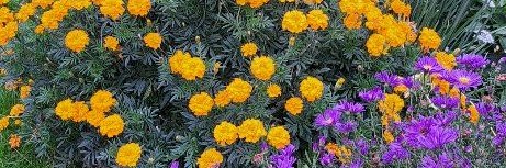 Земля РАТАТЬИ.