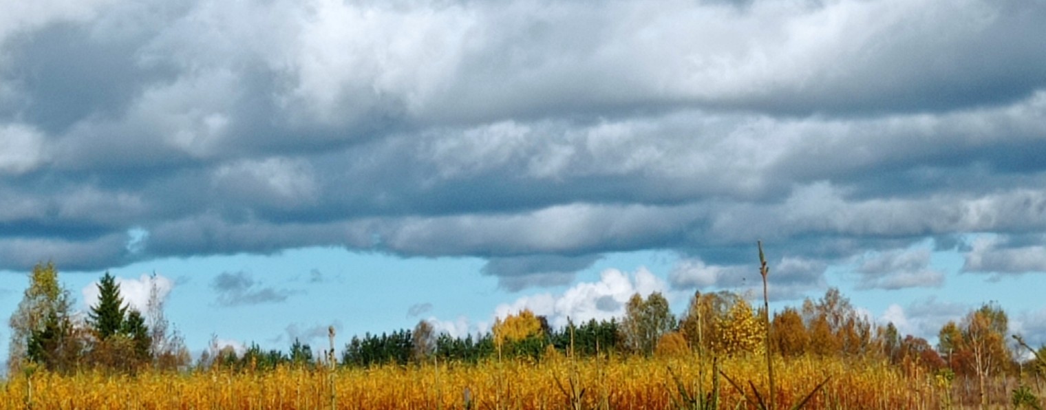 Гиперборей