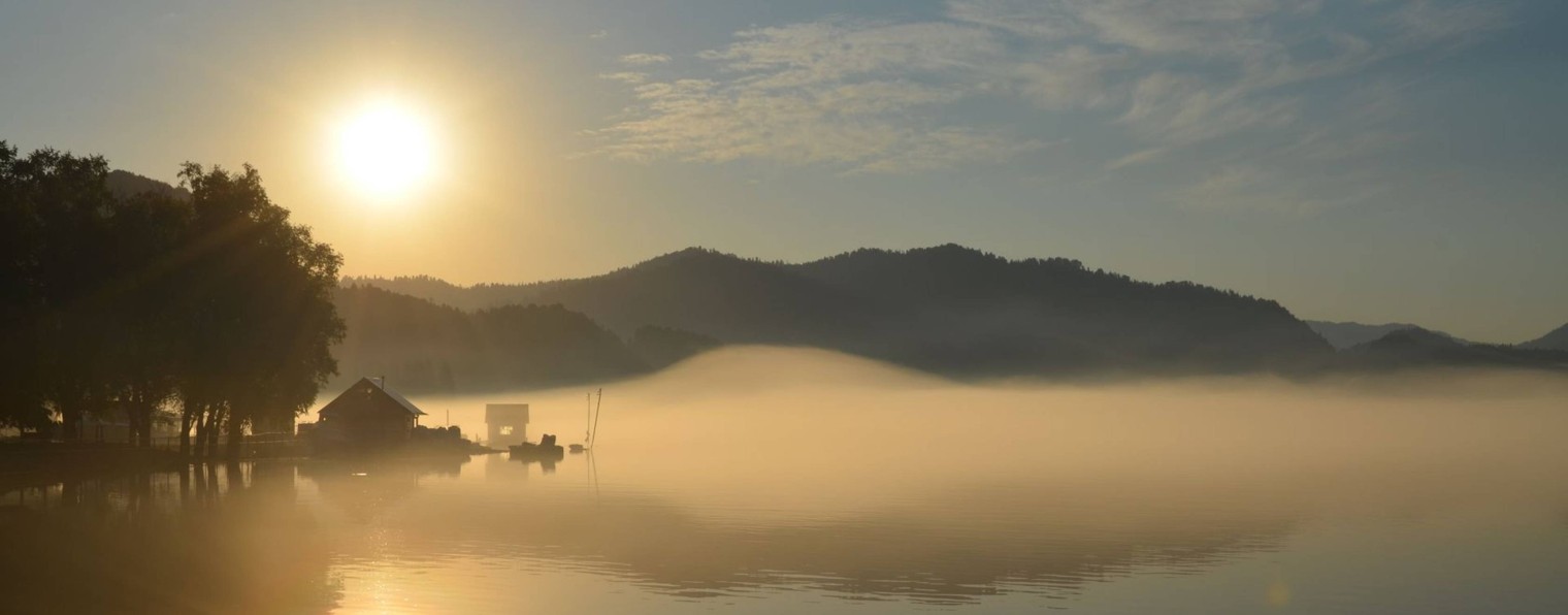 Дмитрий Бухарин | d.step