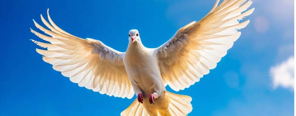 Денис Хорошилов