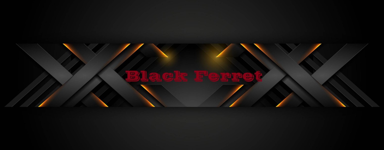 Black Ferret