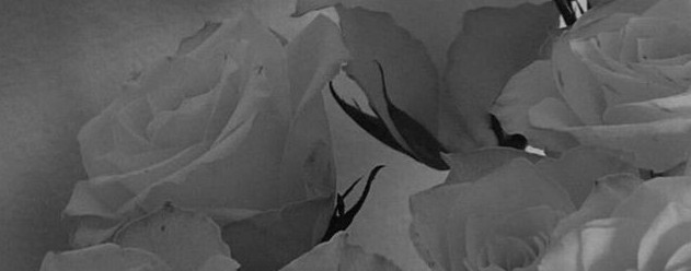 Полный вперёд !!!