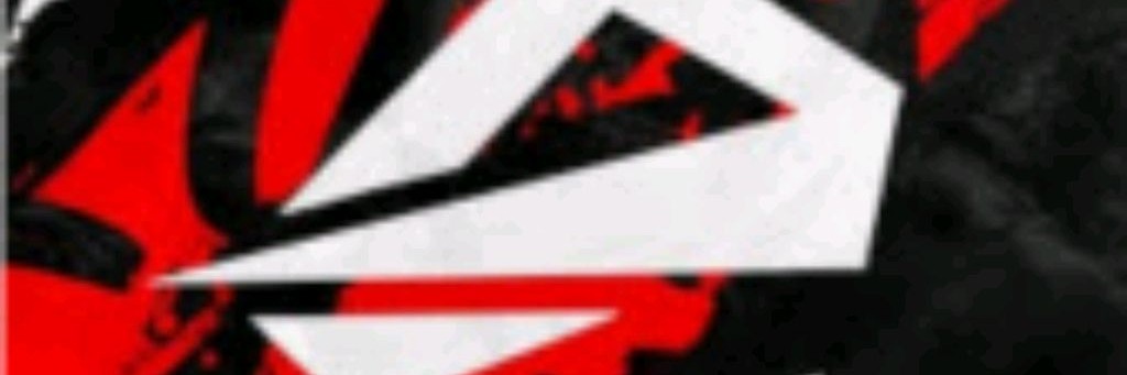 RAIZER