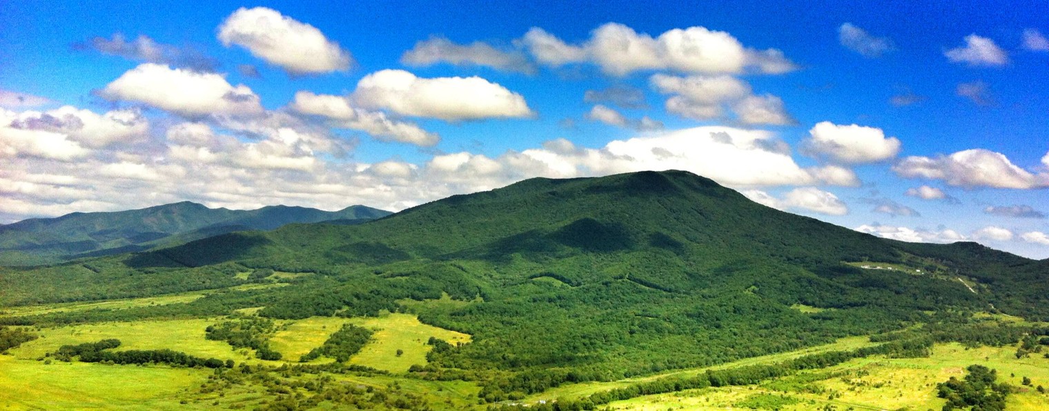 Евгений Кротов Товары