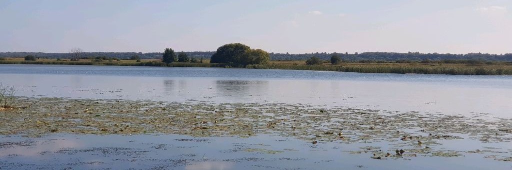 Лето- это маленькая жизнь!