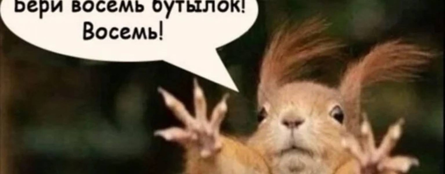 Бешеная Белка