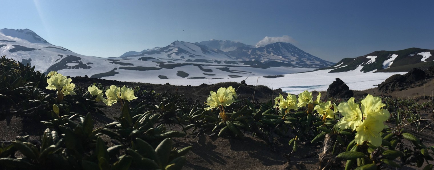 Турклуб Камчатка