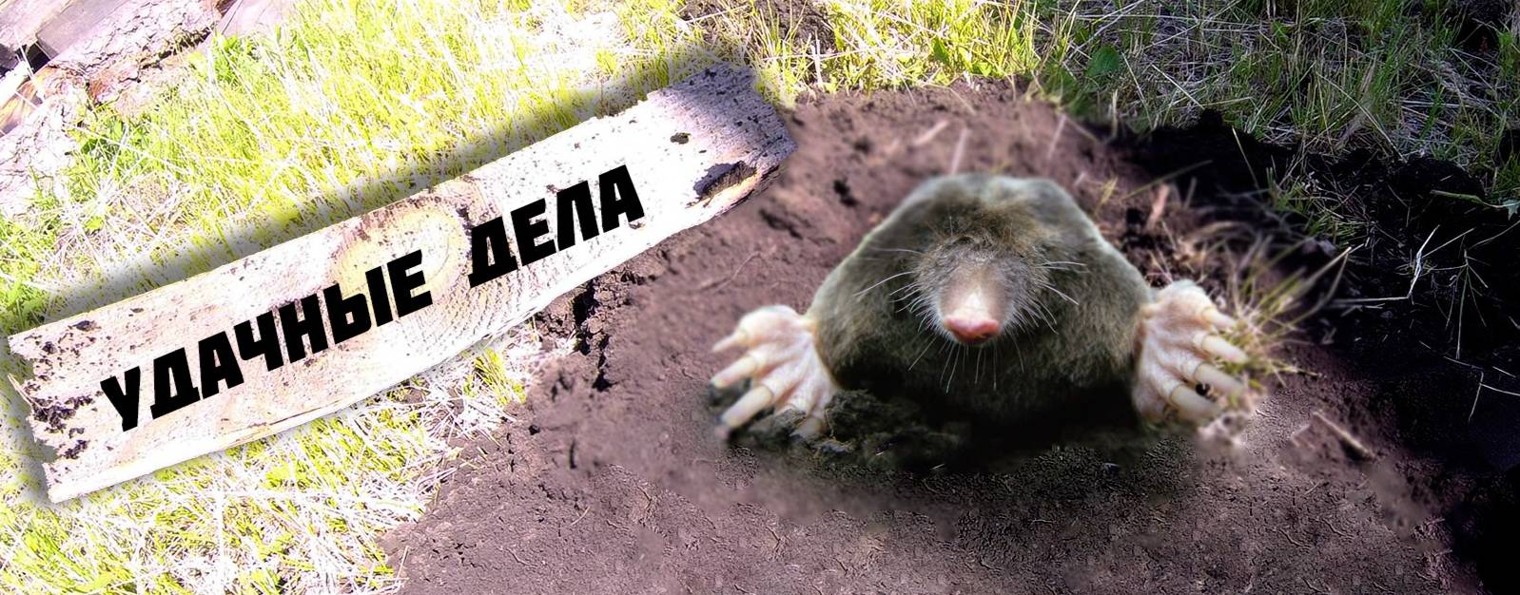 Удачные Дела