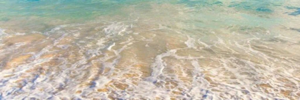 Движение в РАДость