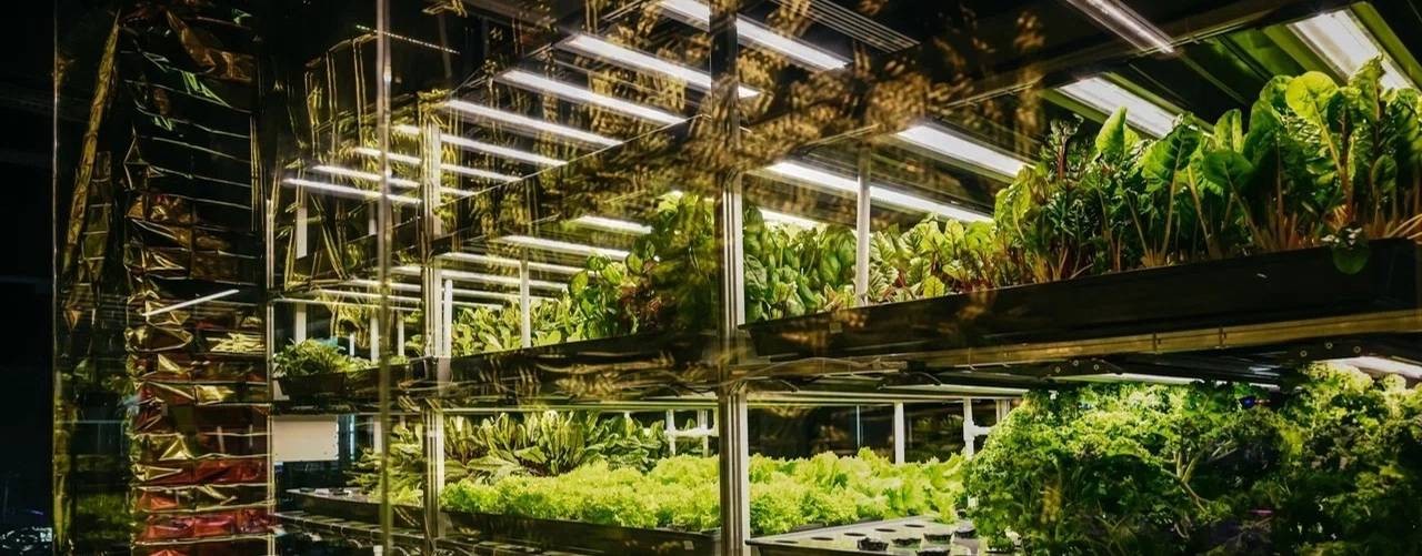 City Farming Labaratory