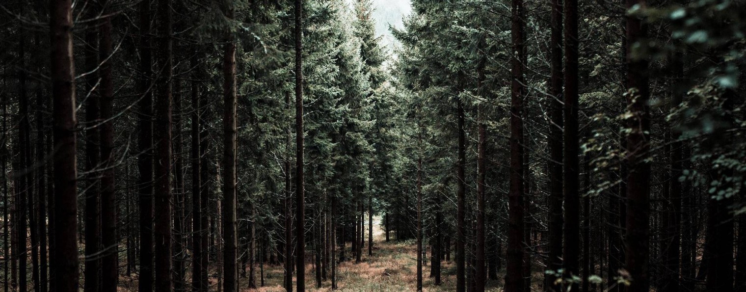 Funny и его истории