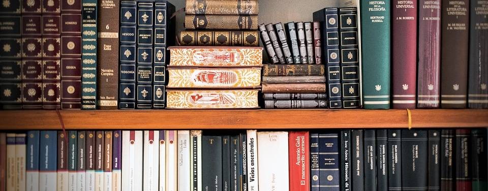 ГОЛОС ГЛАВ | ПОПАДАНЦЫ