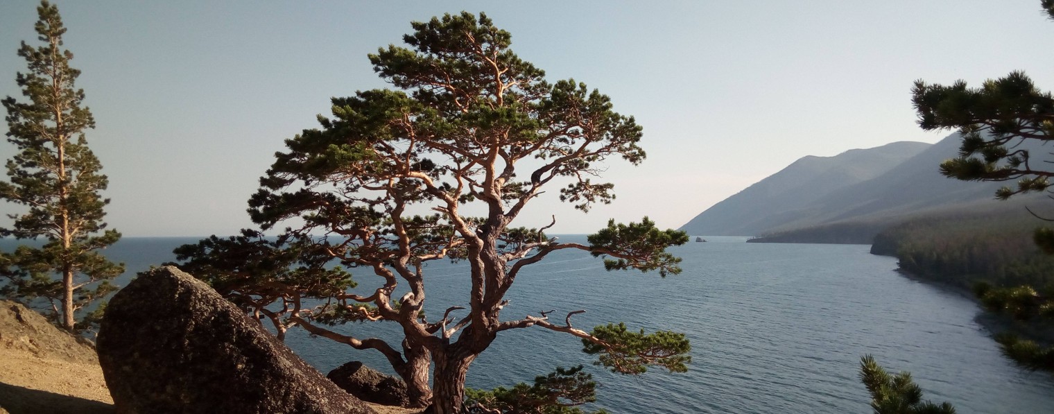 ПРОходимцы